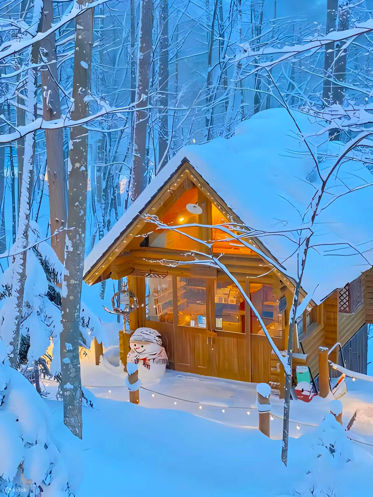 [Hokkaido Summer Internet Celebrity Check-in] Patchwork Road Seven Star ...